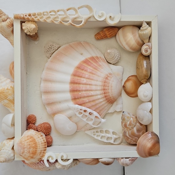Wall Decor | Handcrafted Natural Shell Wall Shadow Box | Poshmark